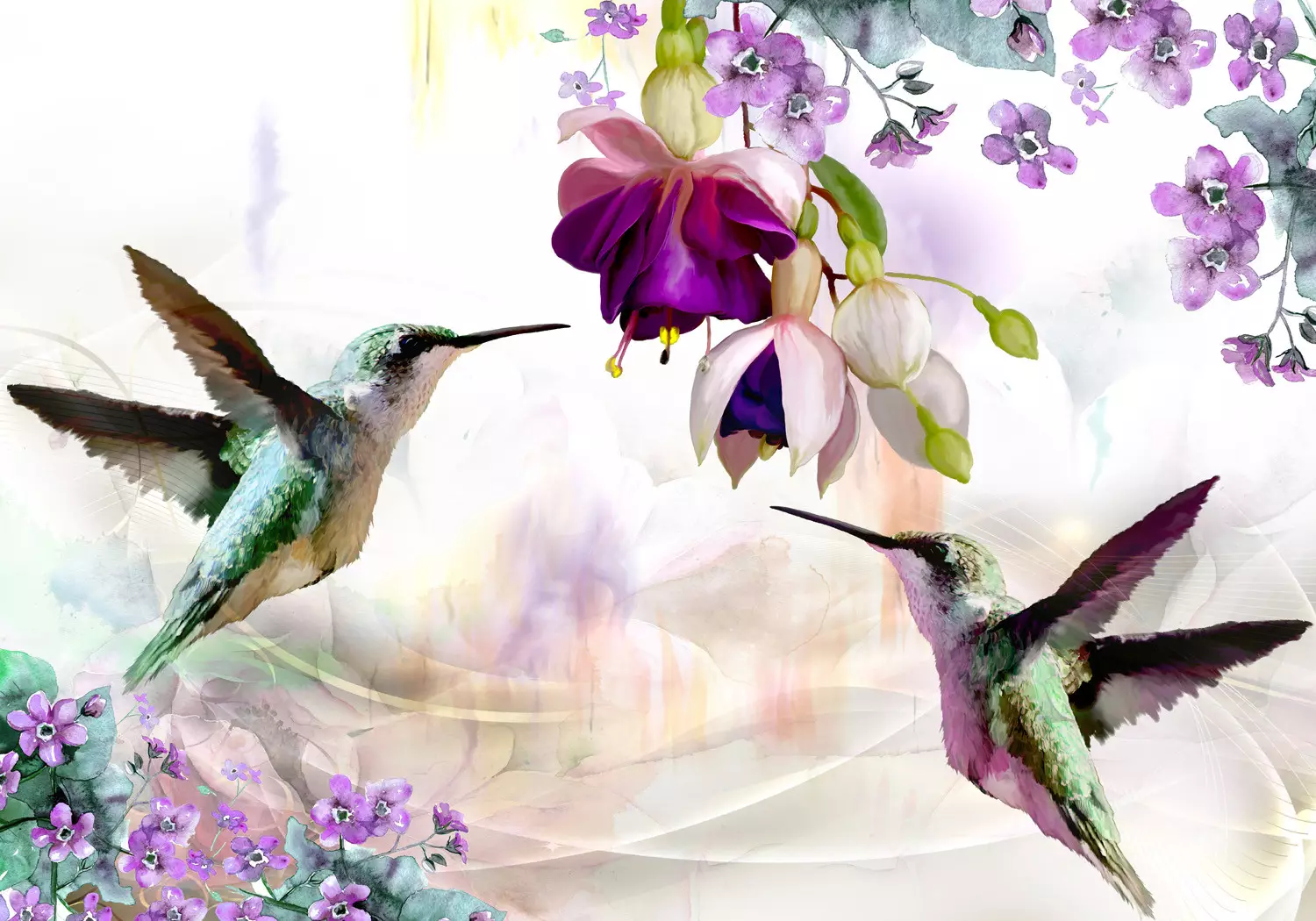hummingbird and flower wallpaper