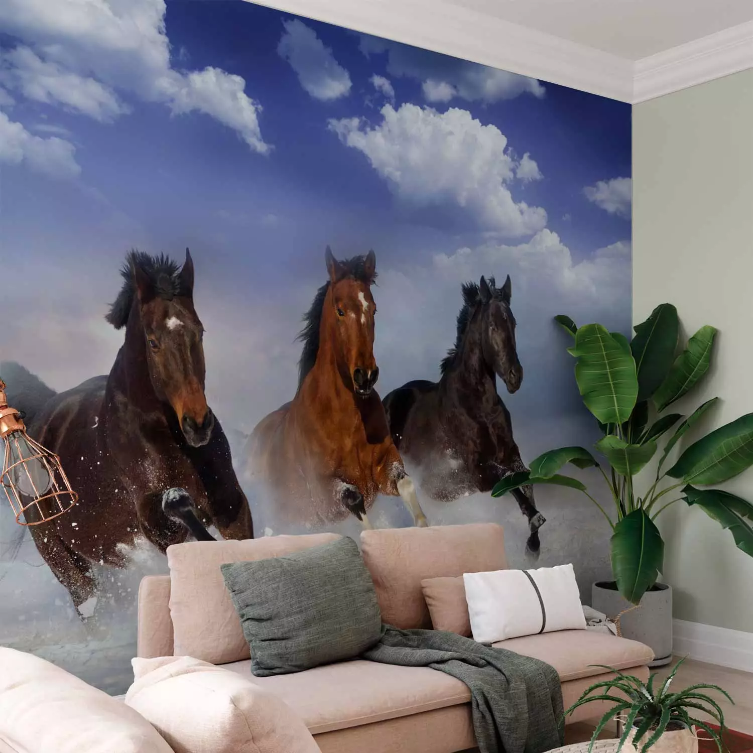 wallpaperhorses