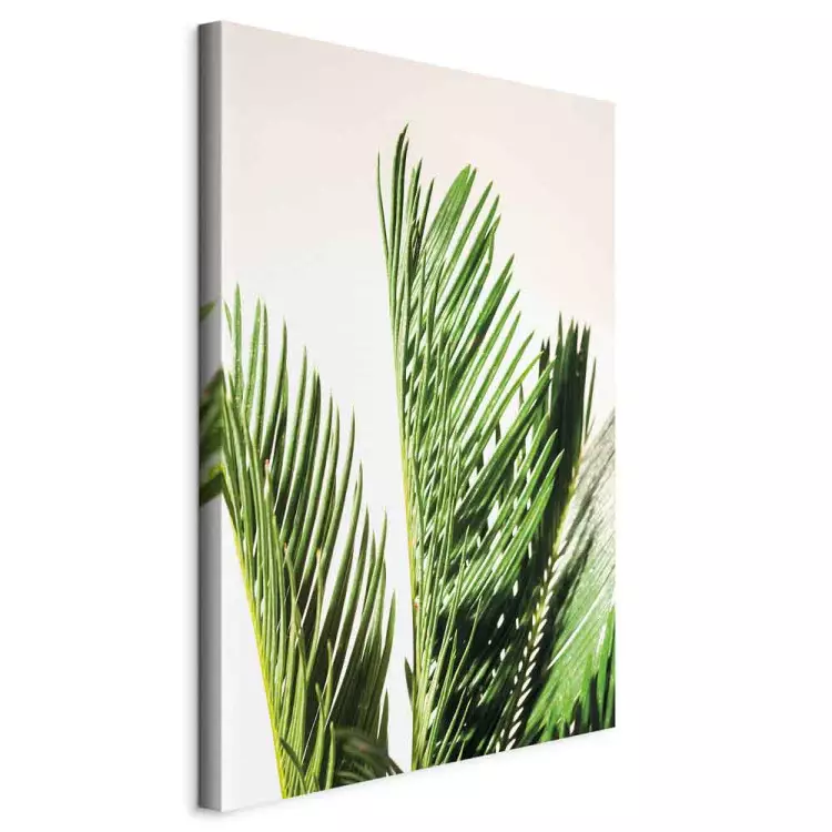 palm leaf canvas
