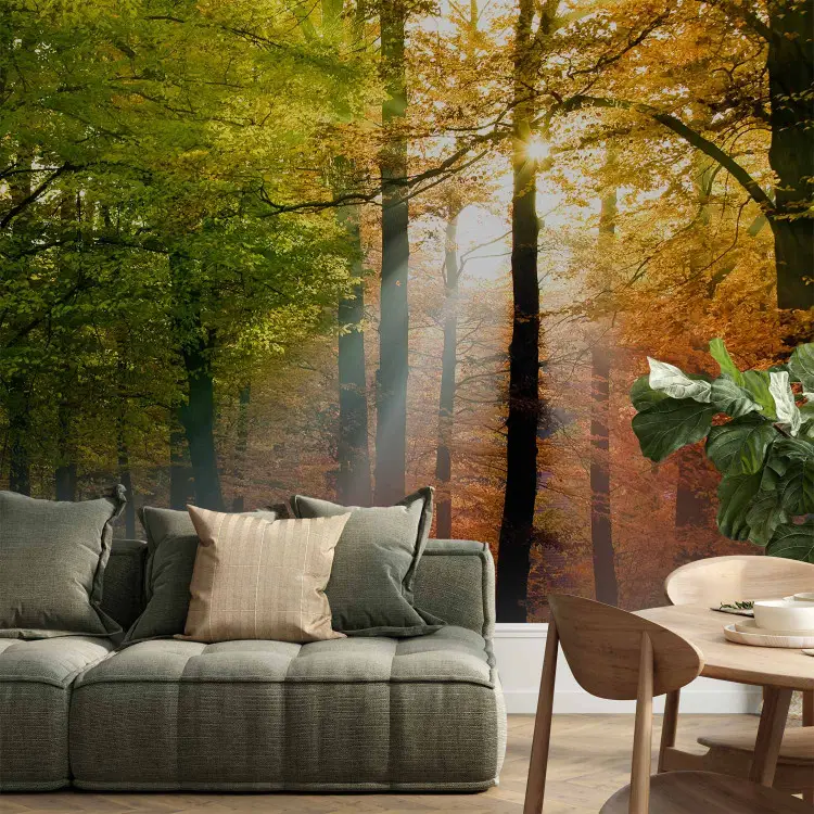 Wall Mural Forest Colours - bimago