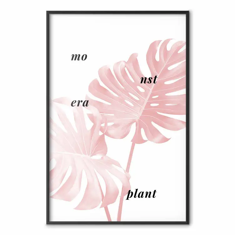 Poster Monstera Plant - tropical leaf with English text on a white ...
