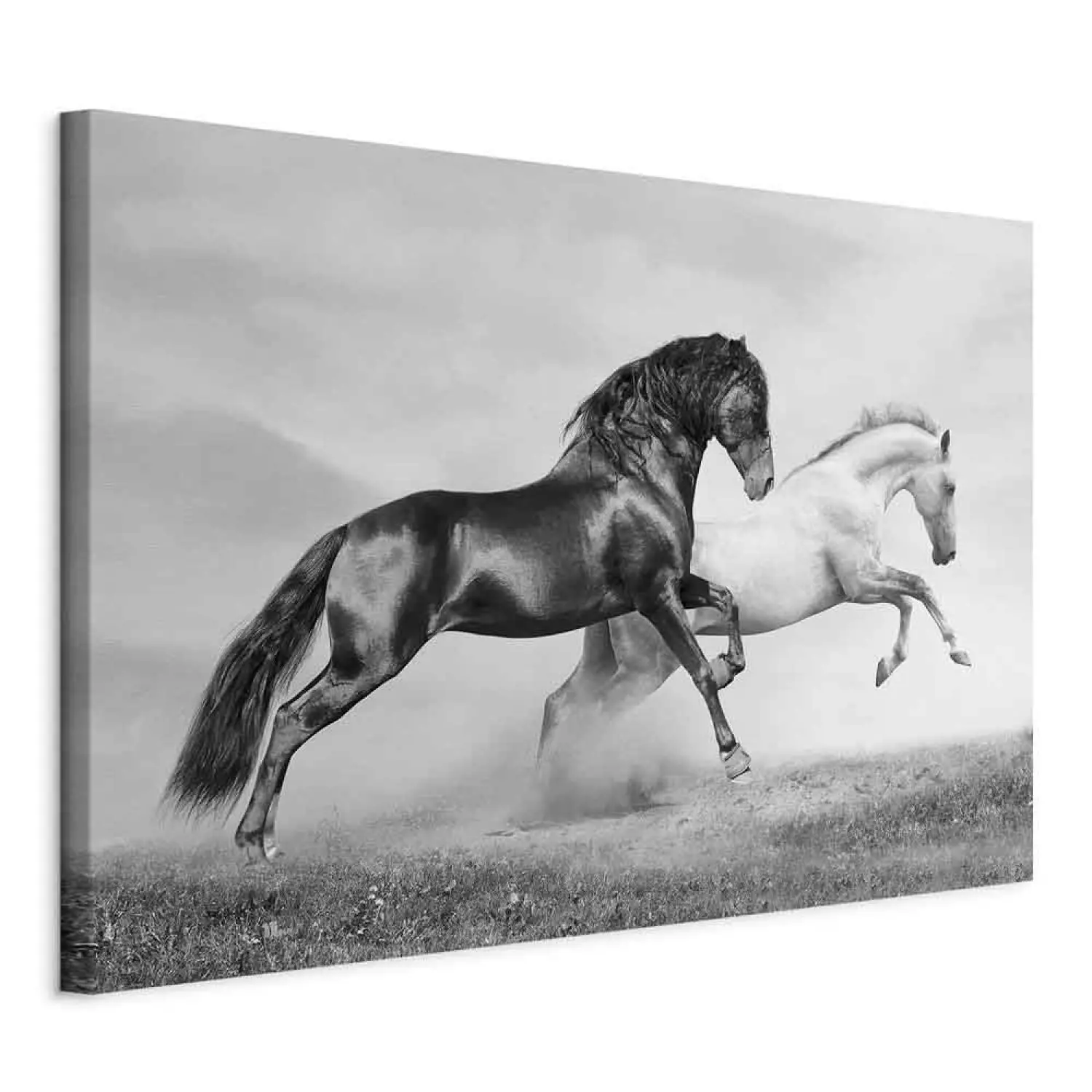horse print out pictures