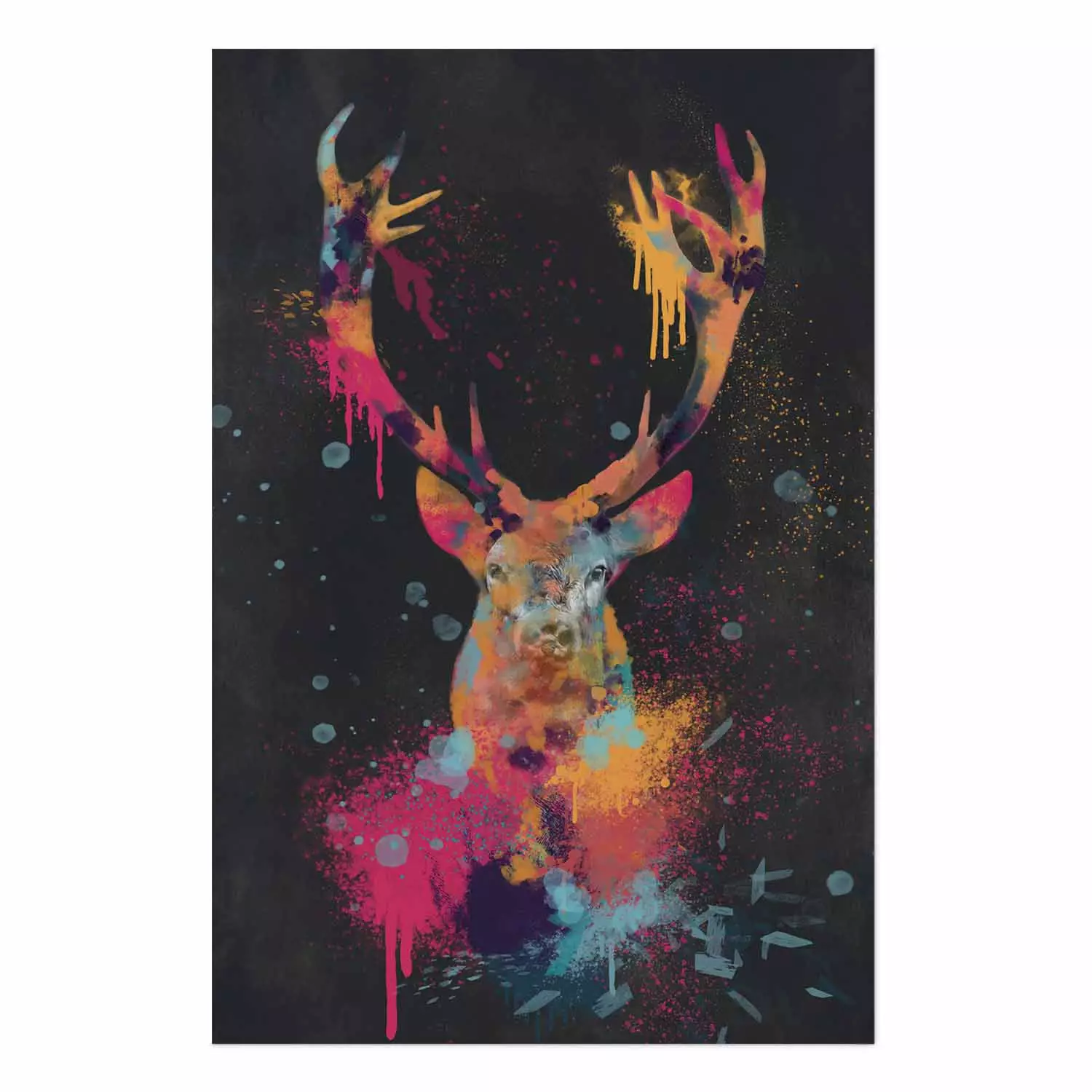 colourful animal posters
