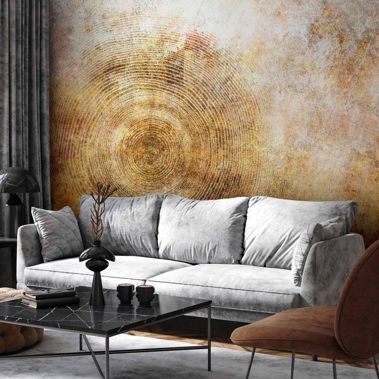 Modern Wall Murals, Modern Wall Murals Designs, Modern Abstract Wall ...