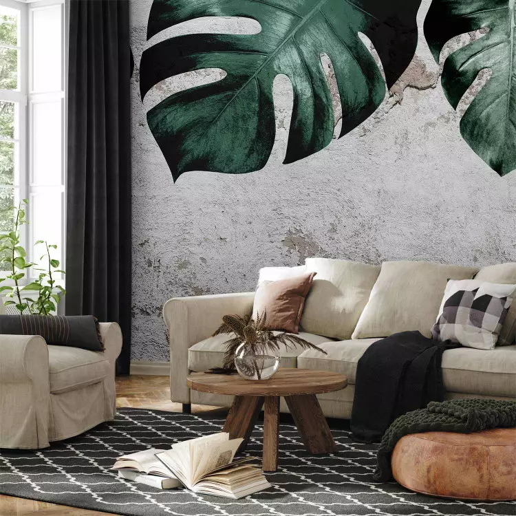 Photo Wallpaper Face of monstera- composition with green leaves and ...