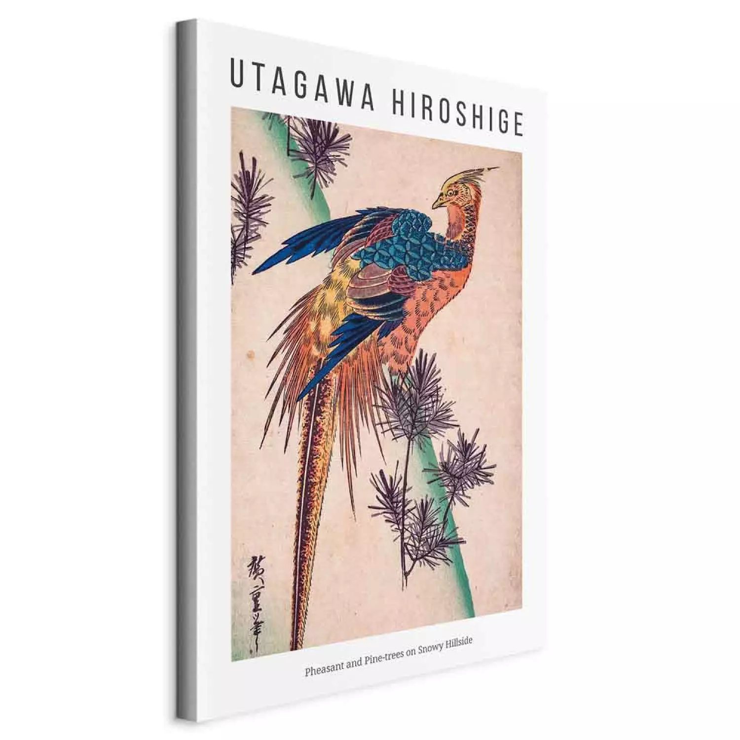 pheasant canvas prints