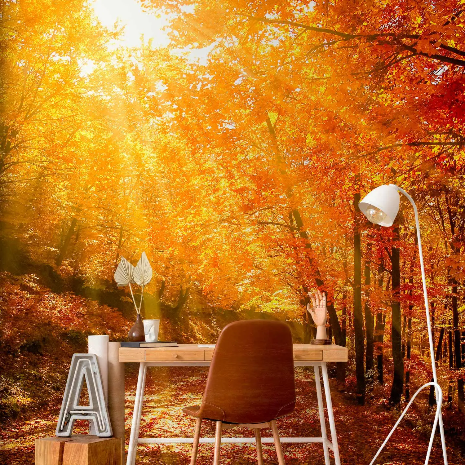 Forest Wallpaper Sun Images