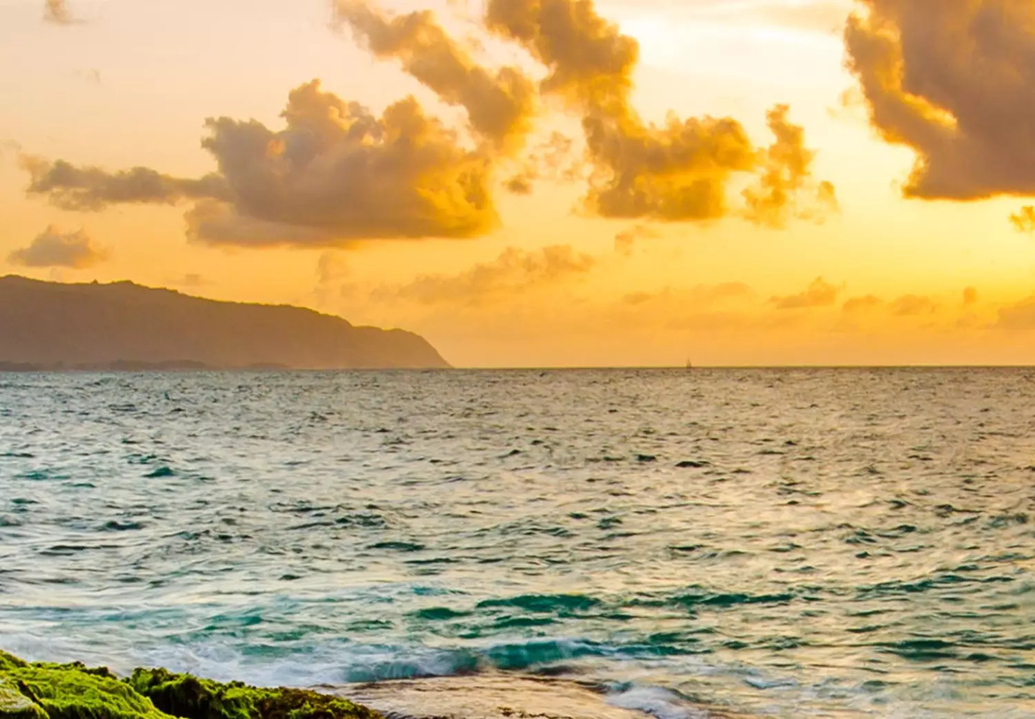 beach print landscape