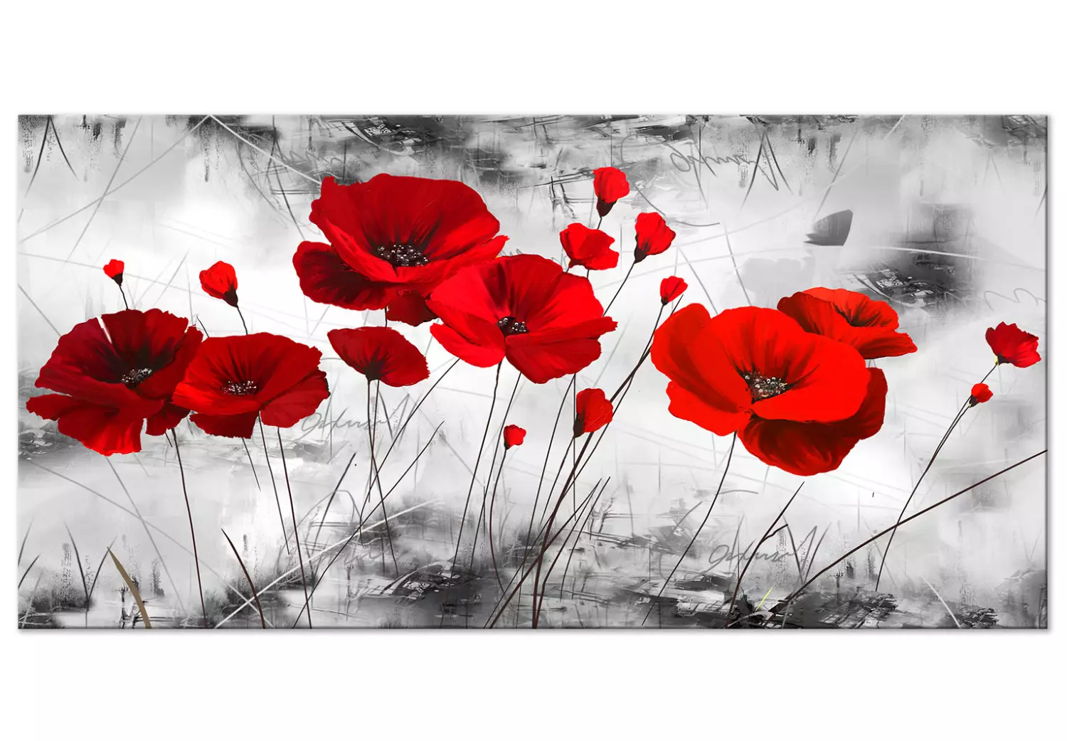 poppies background