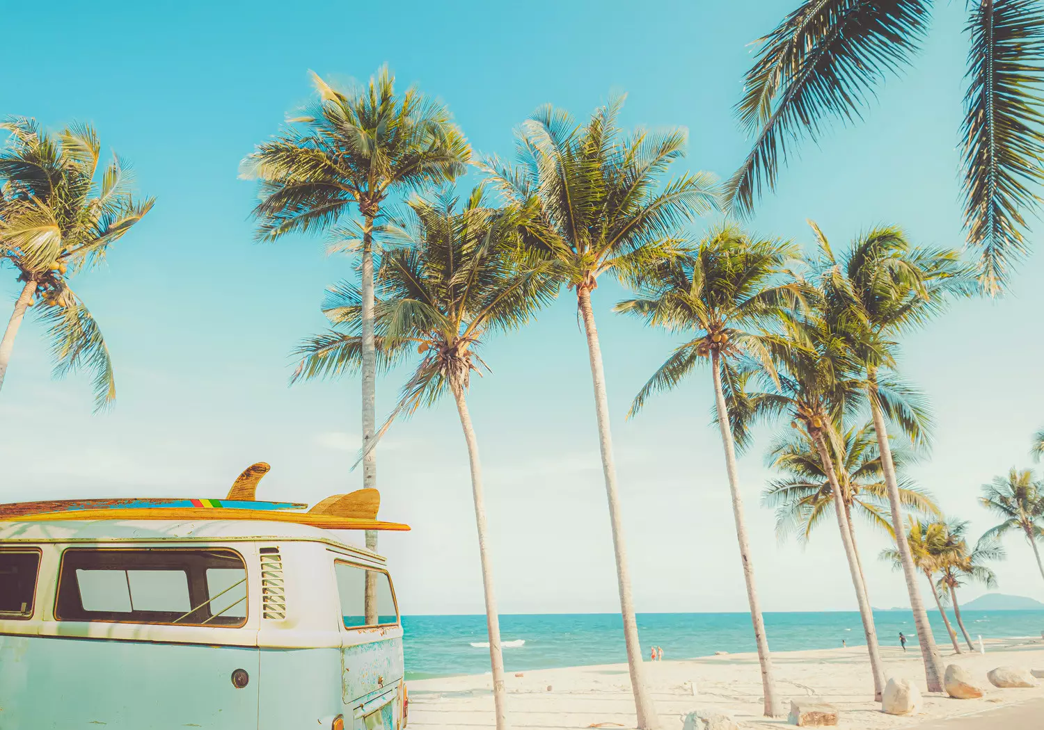 Vw Bus Surf Wallpaper