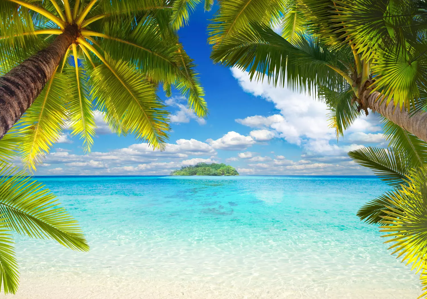 tropical paradise wallpaper in teal