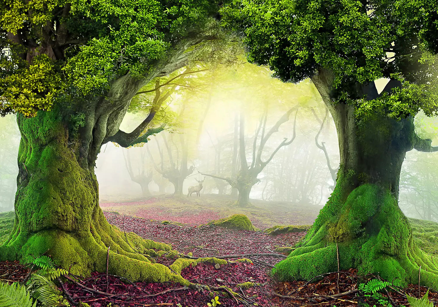 magic forest mural wallpaper