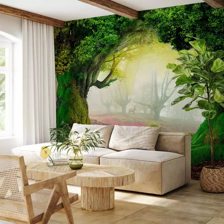 full wall murals