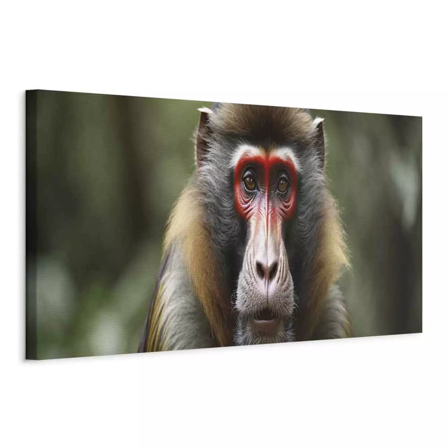 colourful monkey print