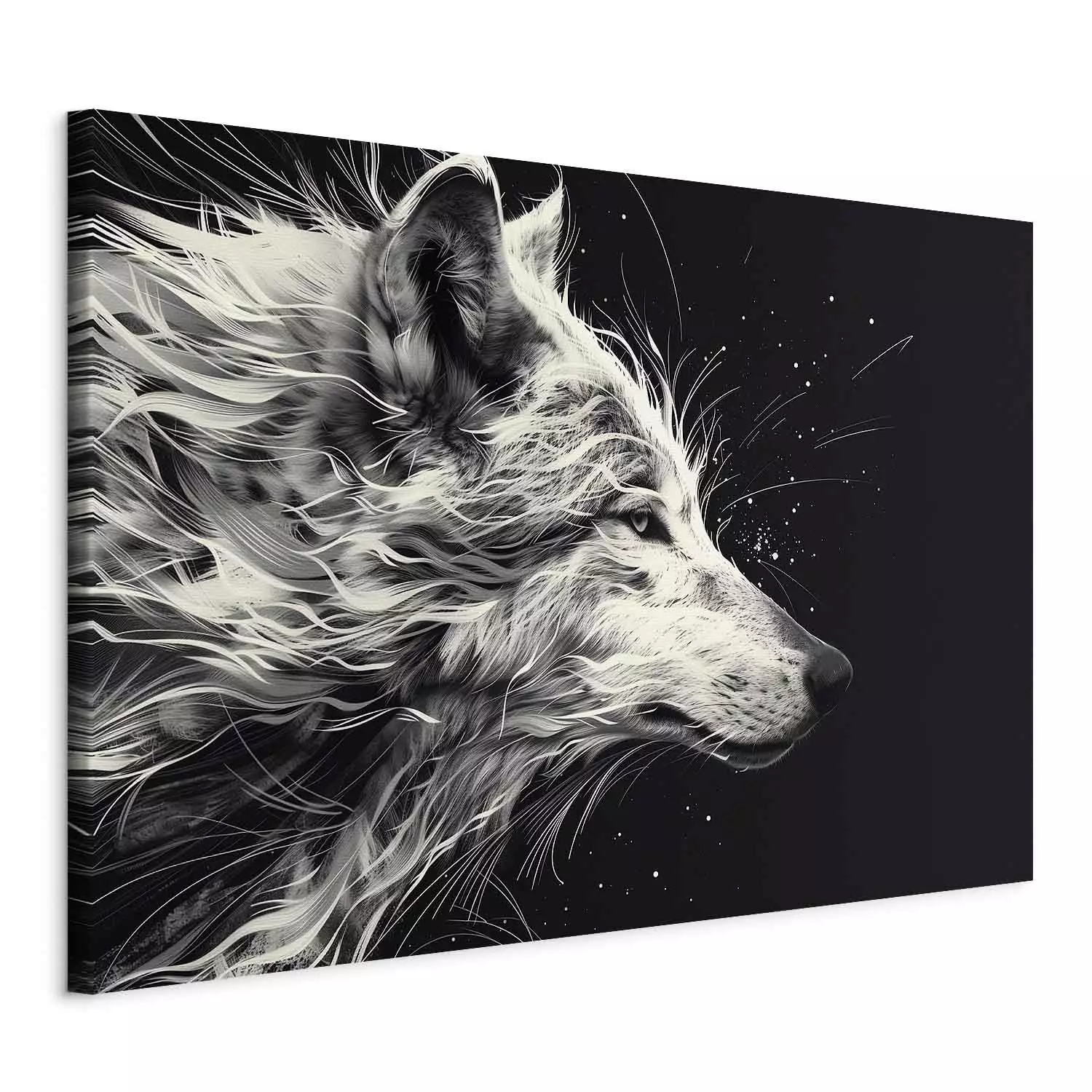 wolf on black background