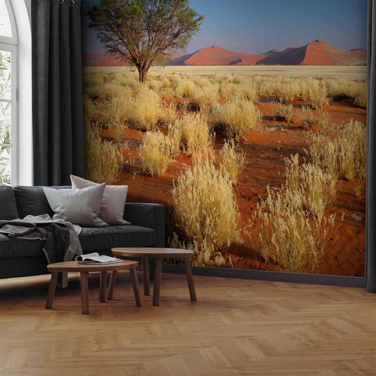 Desert Wall Murals, desert mural, desert wall mural, wall mural desert ...