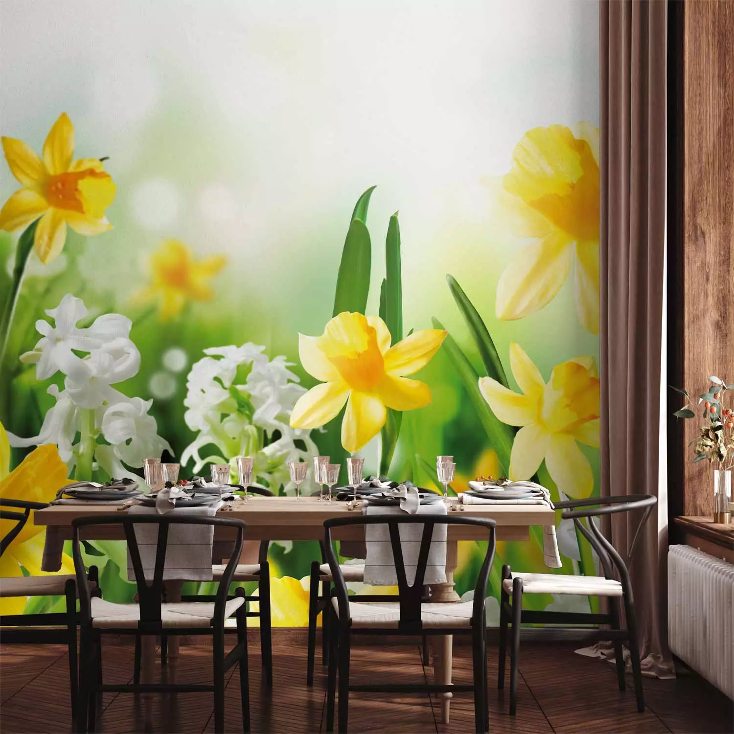 daffodils wallpaper background