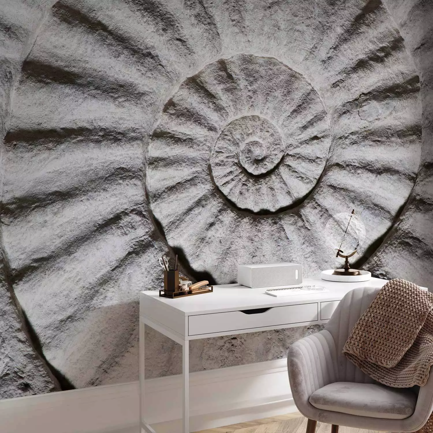 ammonite design