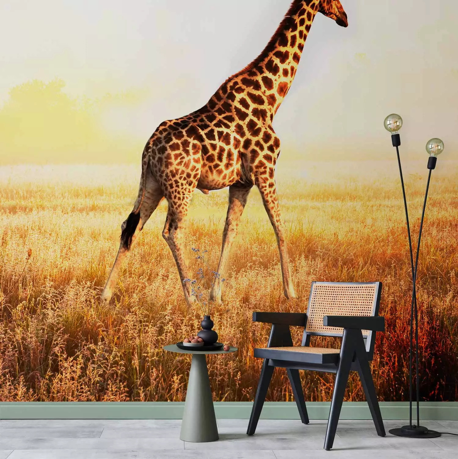 giraffe backgrounds