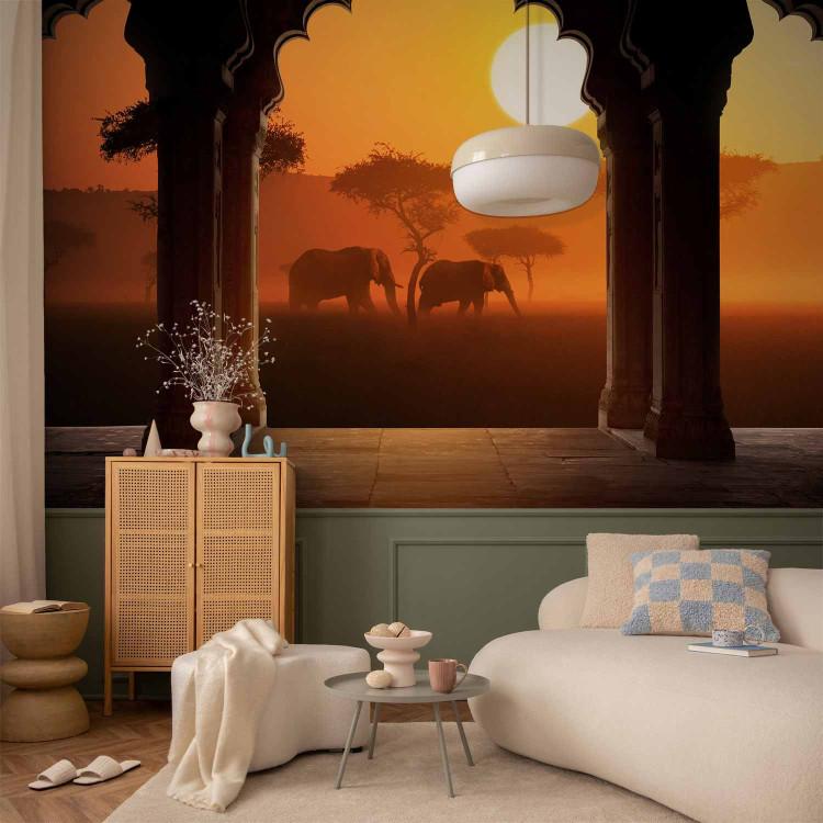 Africa Wall Murals, African Wall Murals, Africa Mural | bimago
