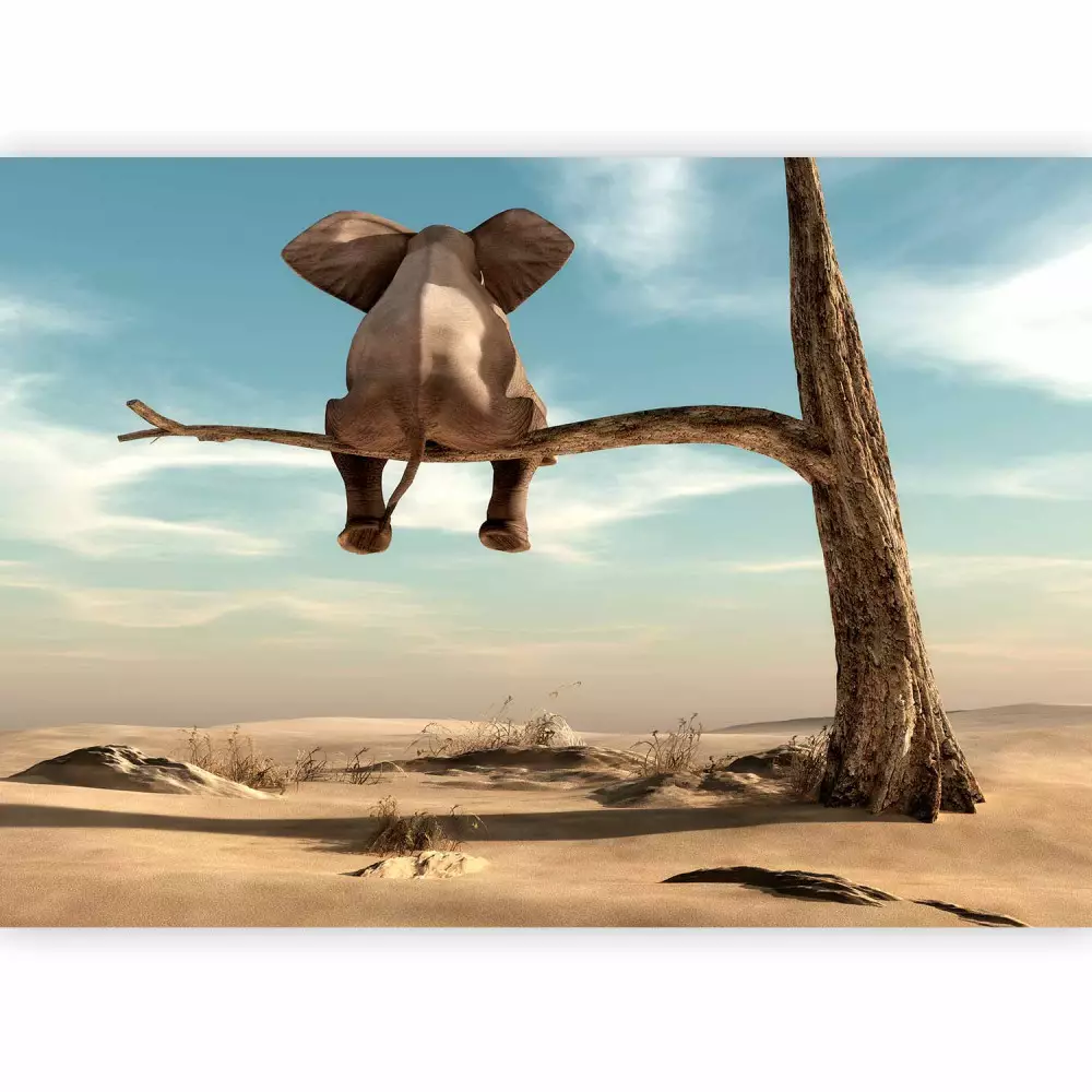 Wall Mural Elephant on the Tree - bimago